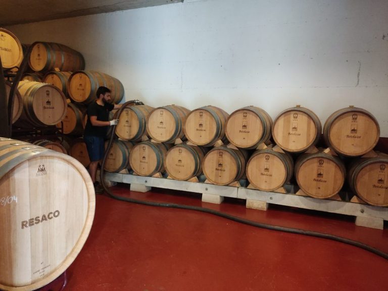 El arte del trasiego, limpieza y equilibrio » Bodega Betolaza